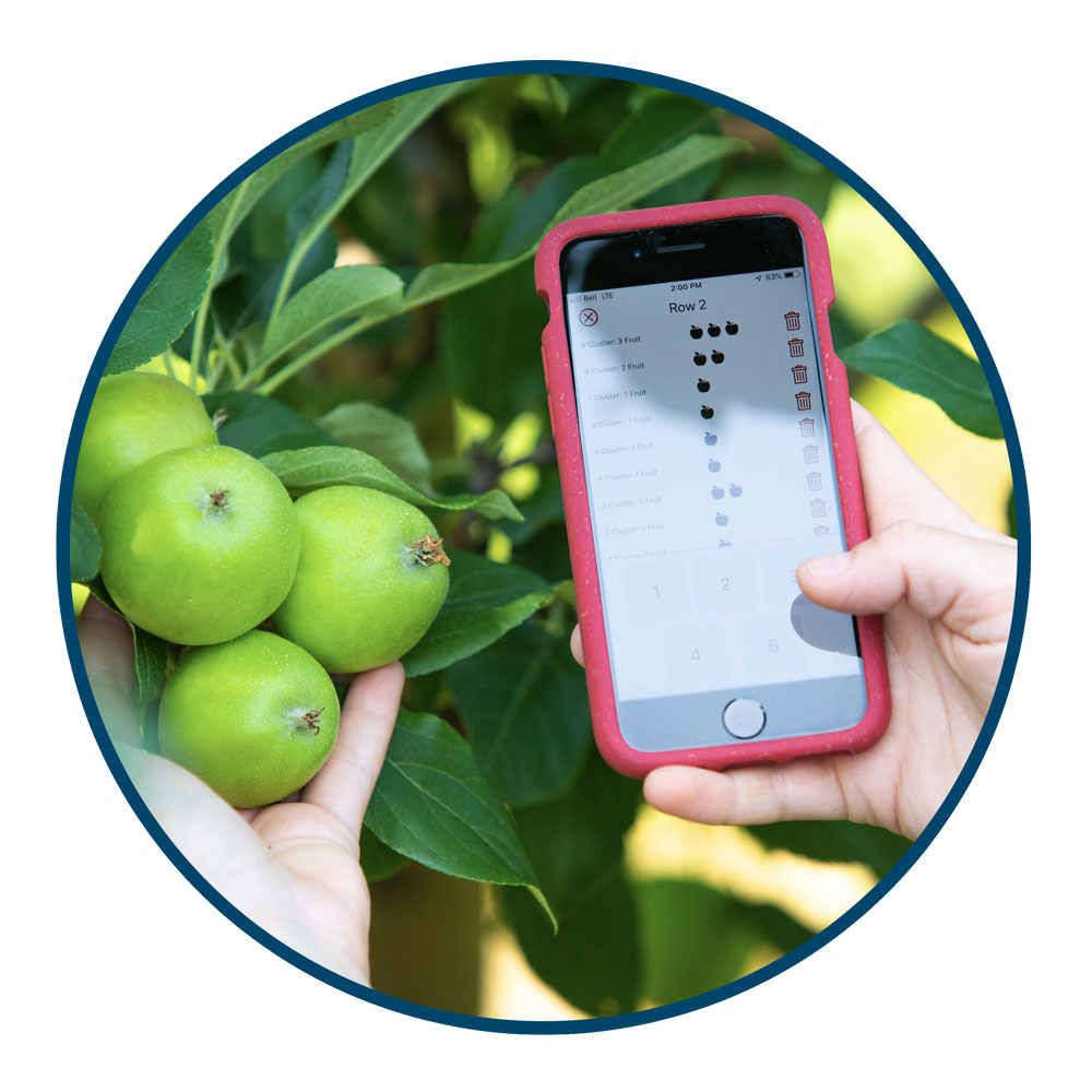 Field Research Services – Perennia