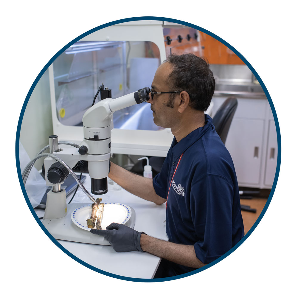 Field Research Services – Perennia